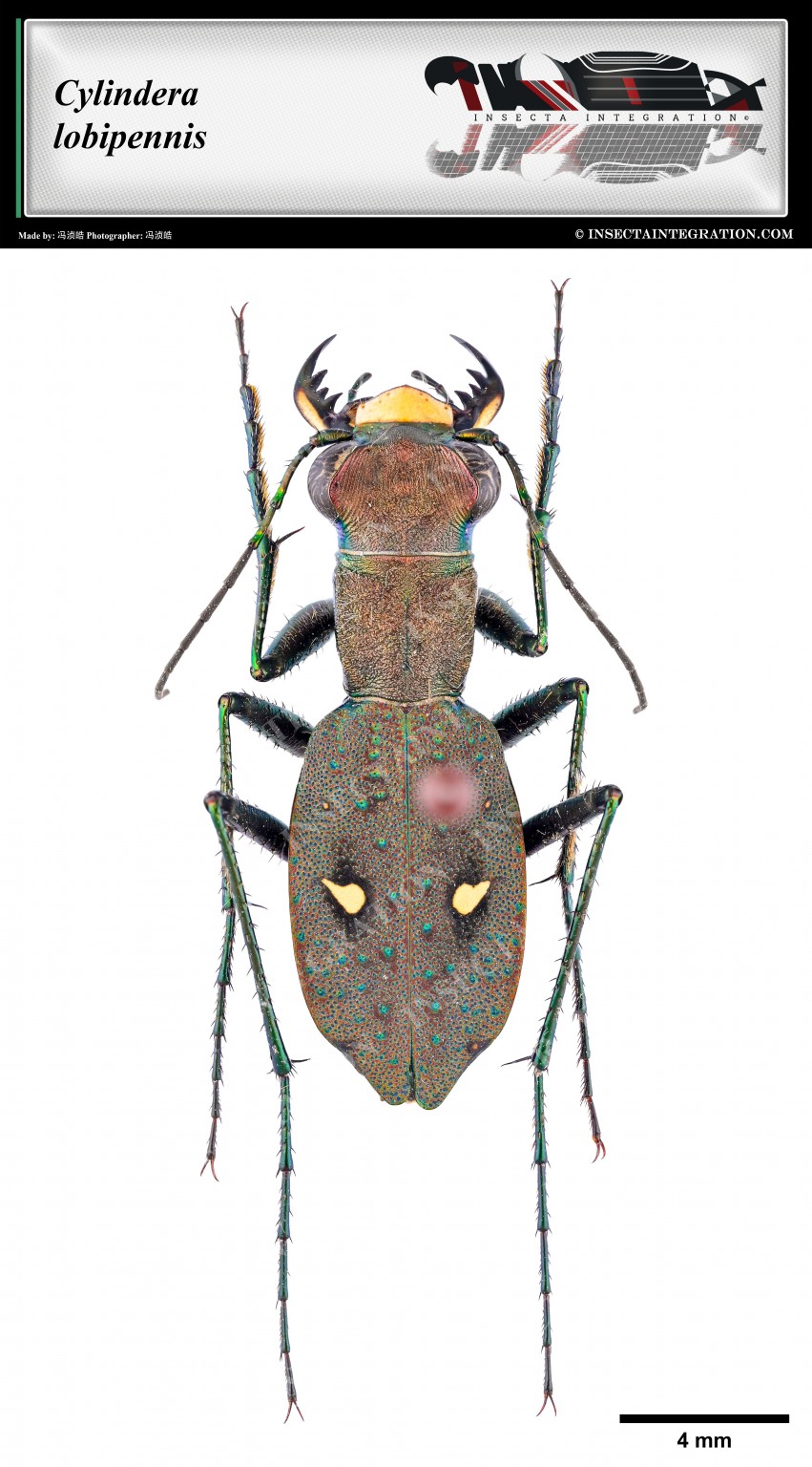 Biogeographic Realms (生物地理分布区) – 第 14 页 – IISDW