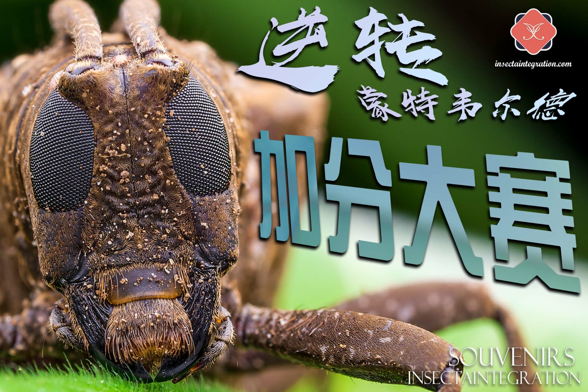 IISDW – Insecta Integration Specimen Database Website